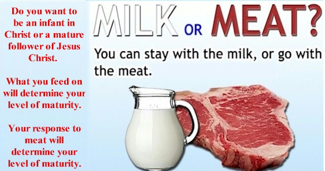 Milk or Meat? - Creating Futures